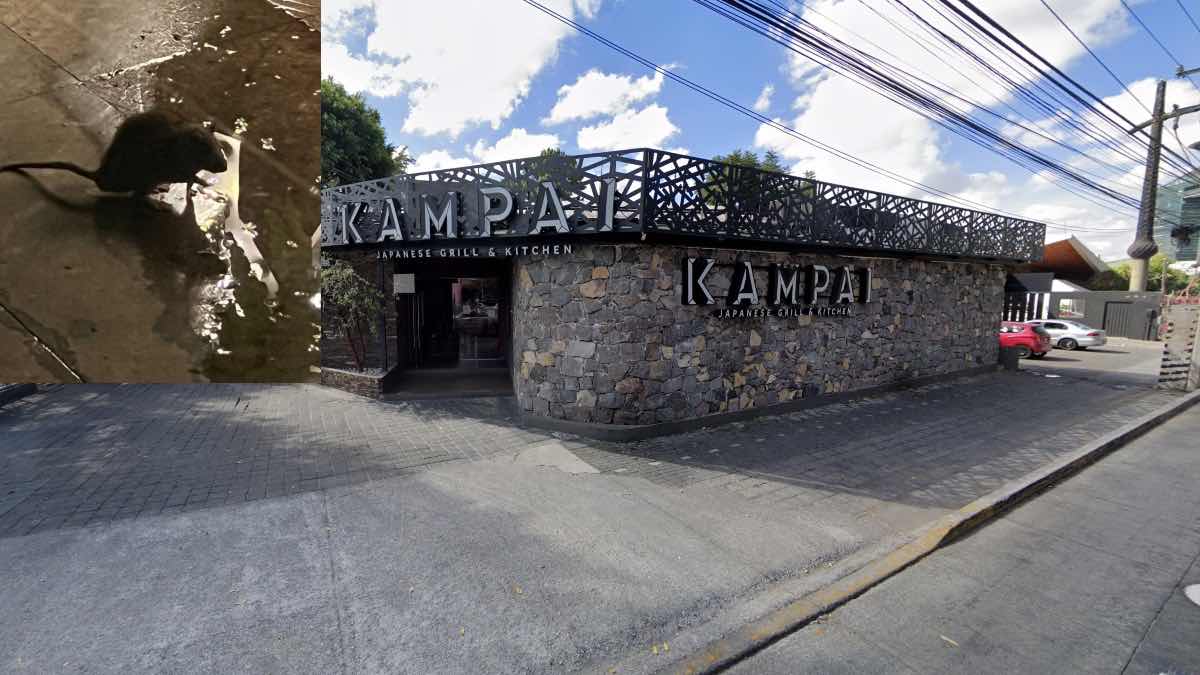 ¡Chefcito! Captan una rata enorme en el restaurante Kampai de Puebla