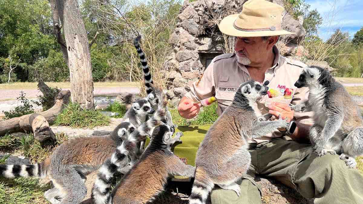 ¿Quién es Frank Carlos Camacho el director de Africam Safari?