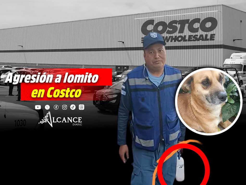 ¡Inhumano! Guardia del Costco de Angelópolis patea a perrito que ...