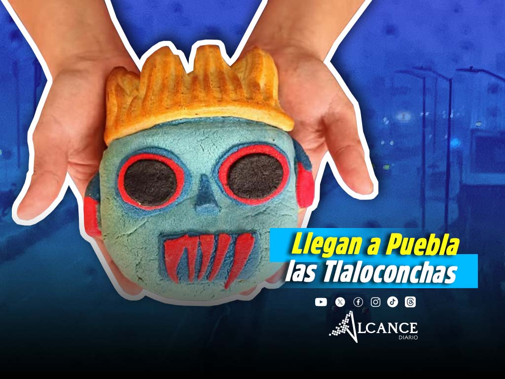Llegan a Puebla las Tlaloconchas: aquí las podrás comprar