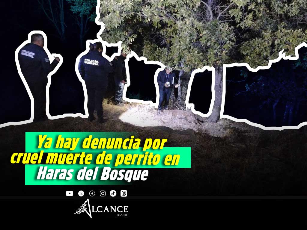Presentan denuncia ante FGE por asesinato de perro en Haras del Bosque